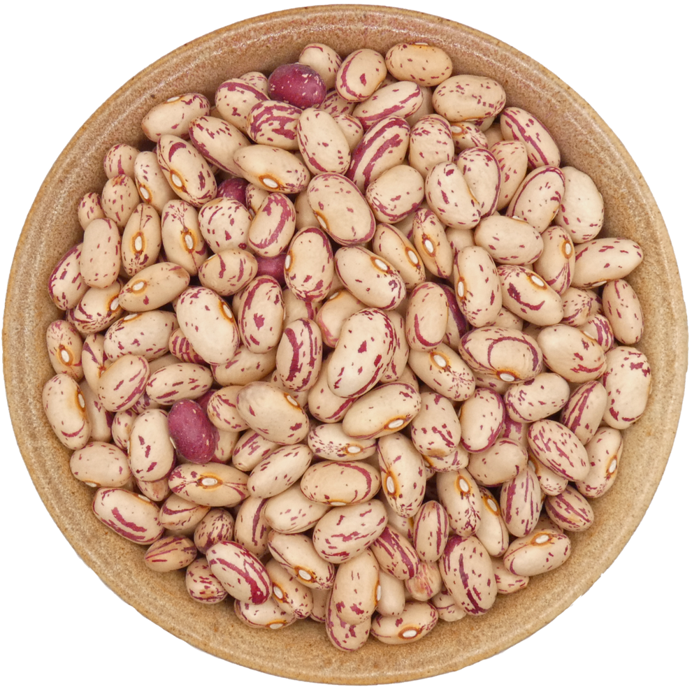 Dry Cranberry Beans - 25 lb – Earthly Gourmet Direct