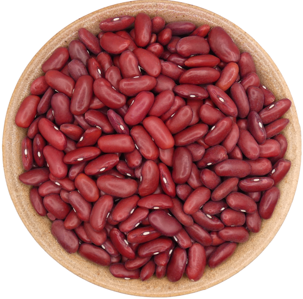 Dark Kidney Beans – Earthly Gourmet Direct
